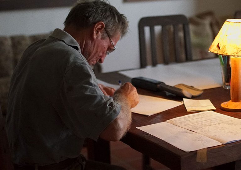 Differences between organic and syntropic farming – Agenda Gotsch