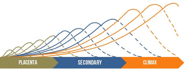 Life cycle, stratification and succession – Agenda Gotsch