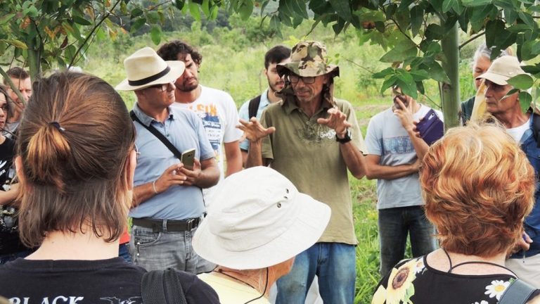 How to set up our own syntropic design apart from “recipes”? – Agenda ...