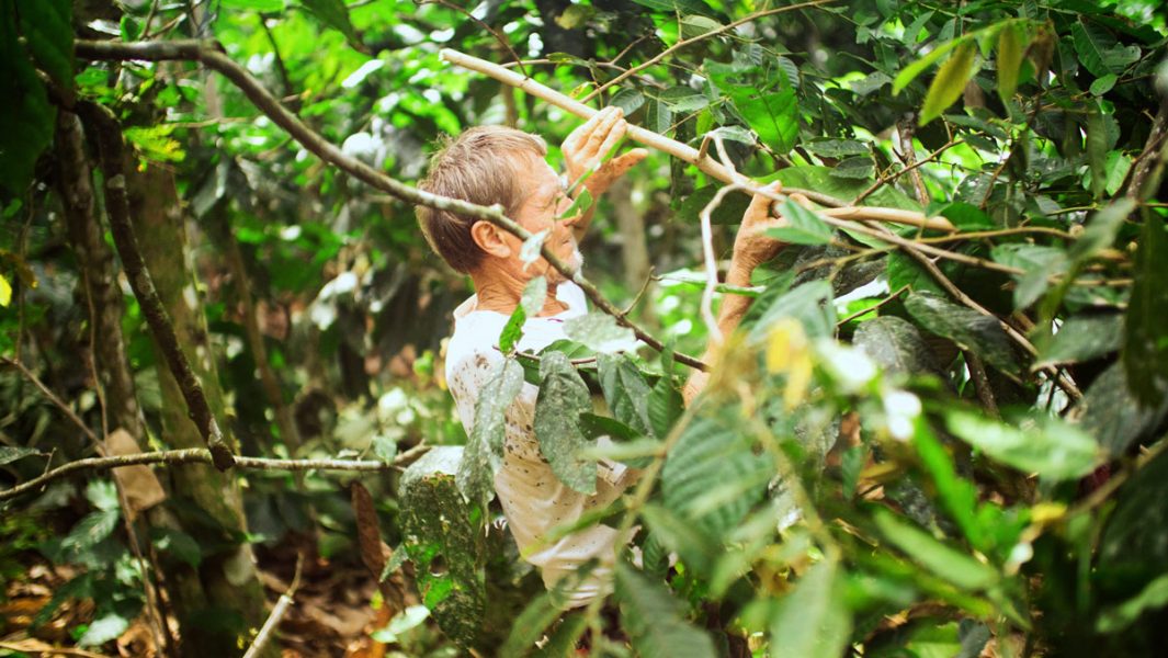 Succession | Agenda Gotsch