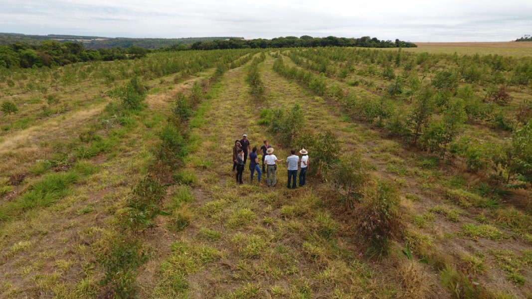 The twist of conventional farming | Agenda Gotsch