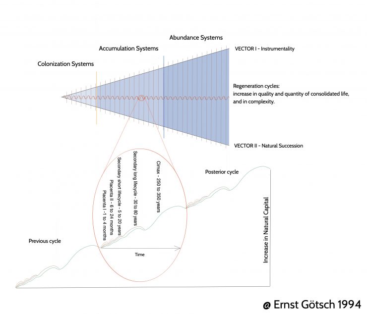 Bioterra: Palestra: Agrofloresta do Futuro - Agricultura Sintrópica ...