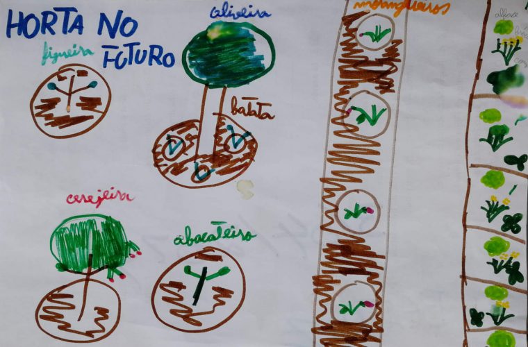 Activity Guide for Syntropic School Gardens – Agenda Gotsch